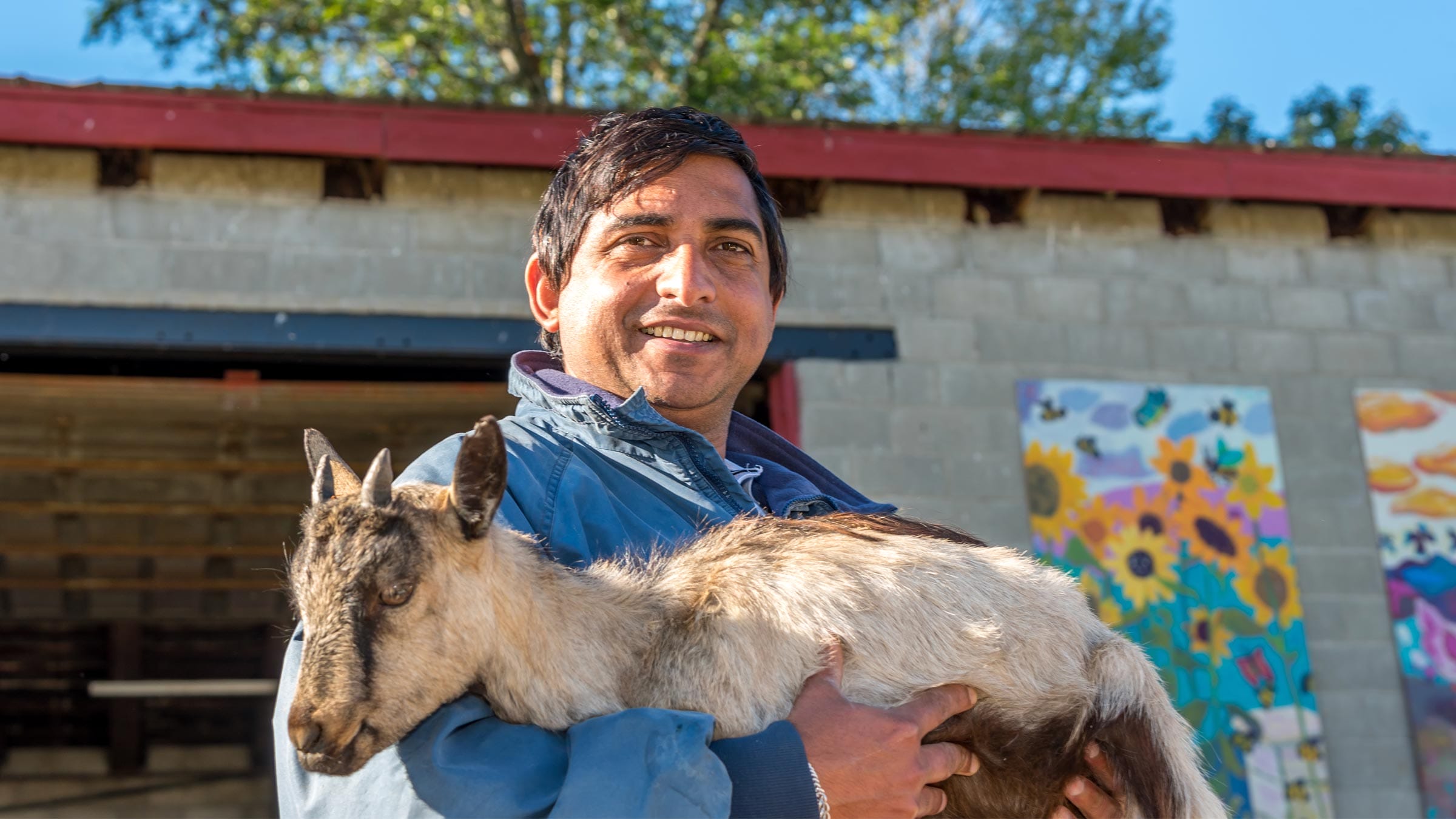 Dhaurali Goats - Vermont Land Trust