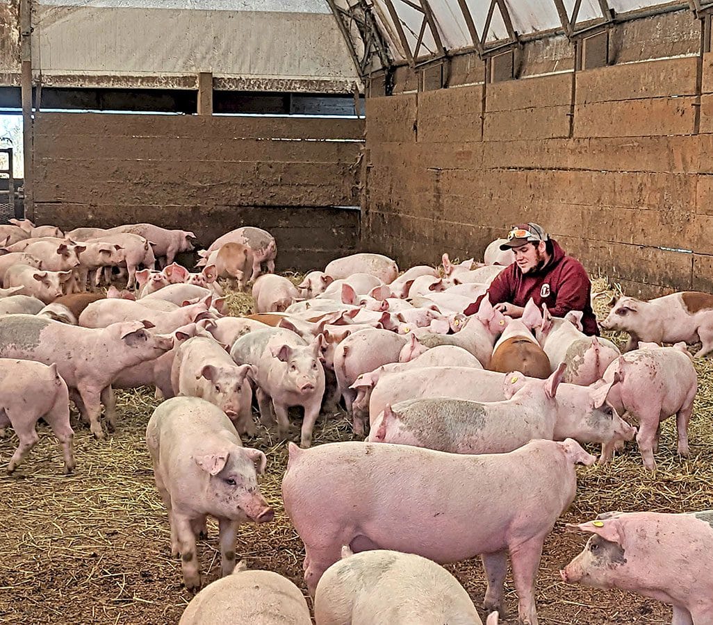 Forging ahead at Champlain Valley Farm - Vermont Land Trust