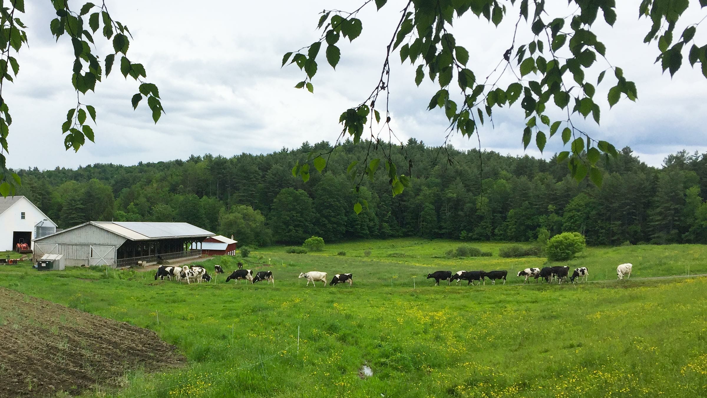 Vermont Farm Tour: Visit Lilac Ridge Farm - Vermont Land Trust